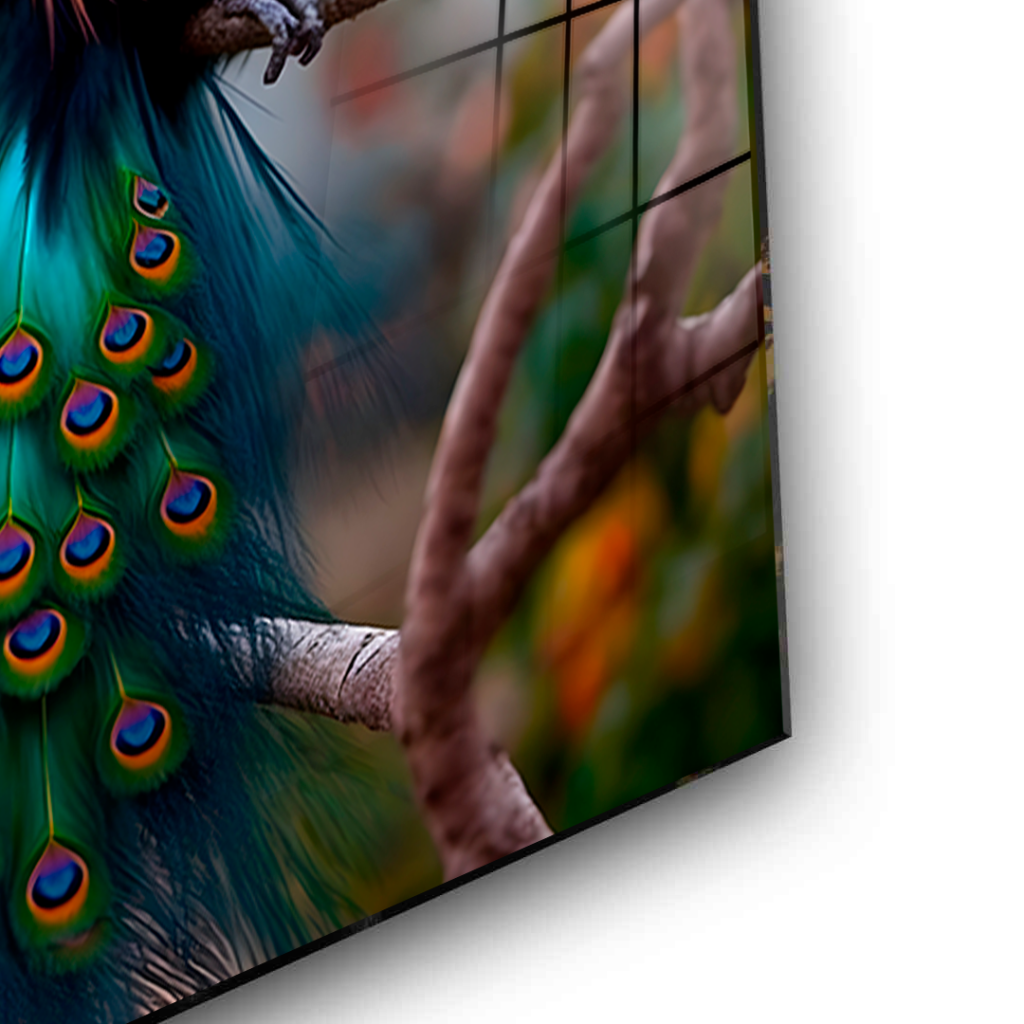 Peacock Color - Luxury Sign Miami